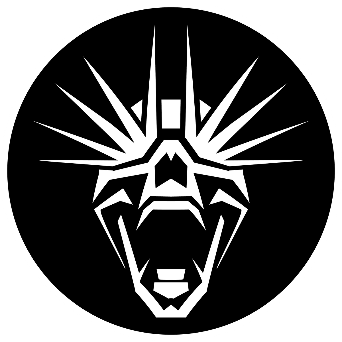 Throwlight – Rocom Toys